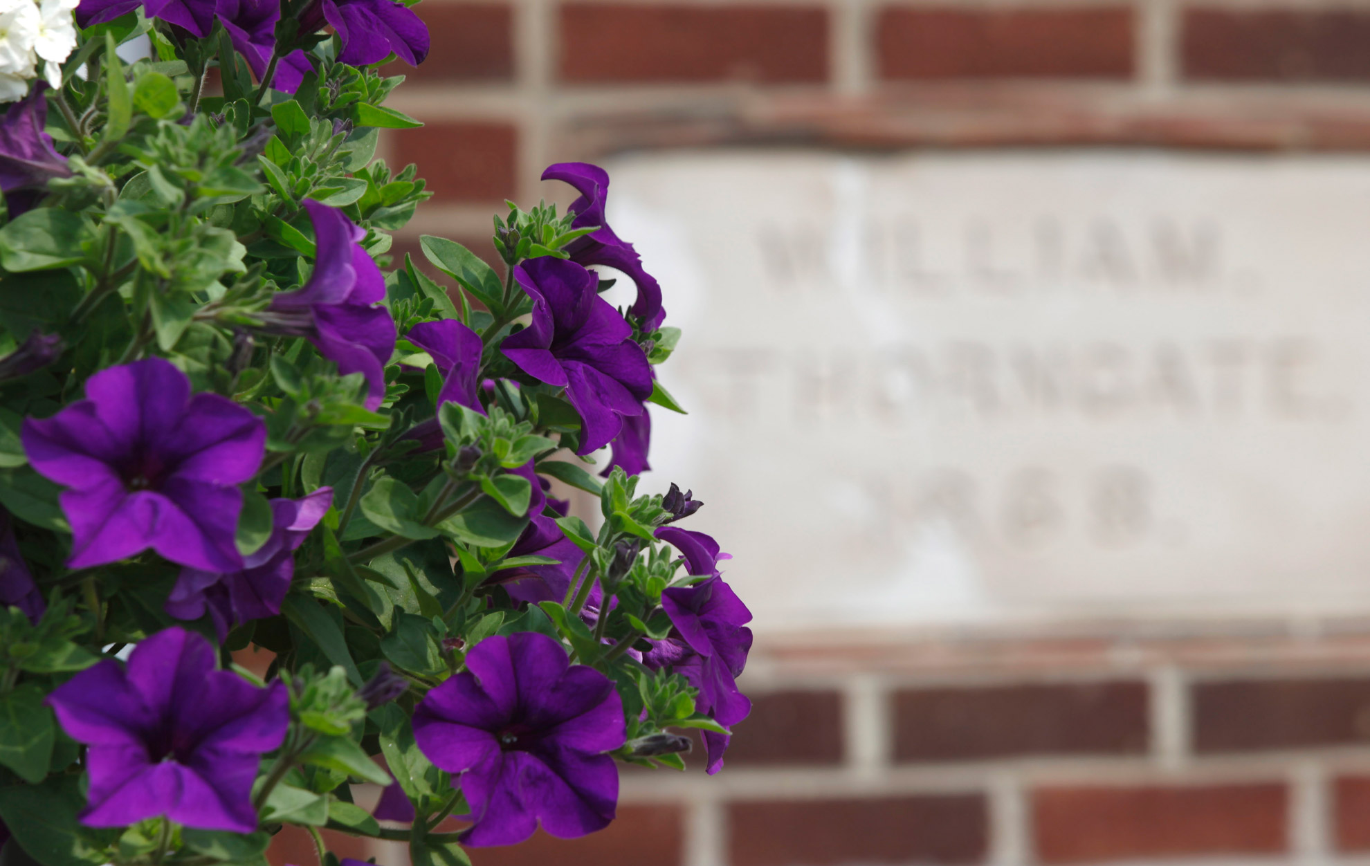 Thorngate Churcher Trust - TribePost - Flat Fee Recruitment Specialist