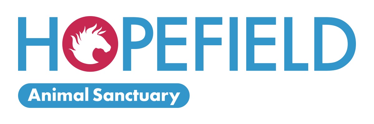 Hopefield Animal Sanctuary - Live Vacancies - Apply Now